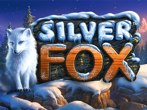 Silver Fox Casino Game - Stake.com